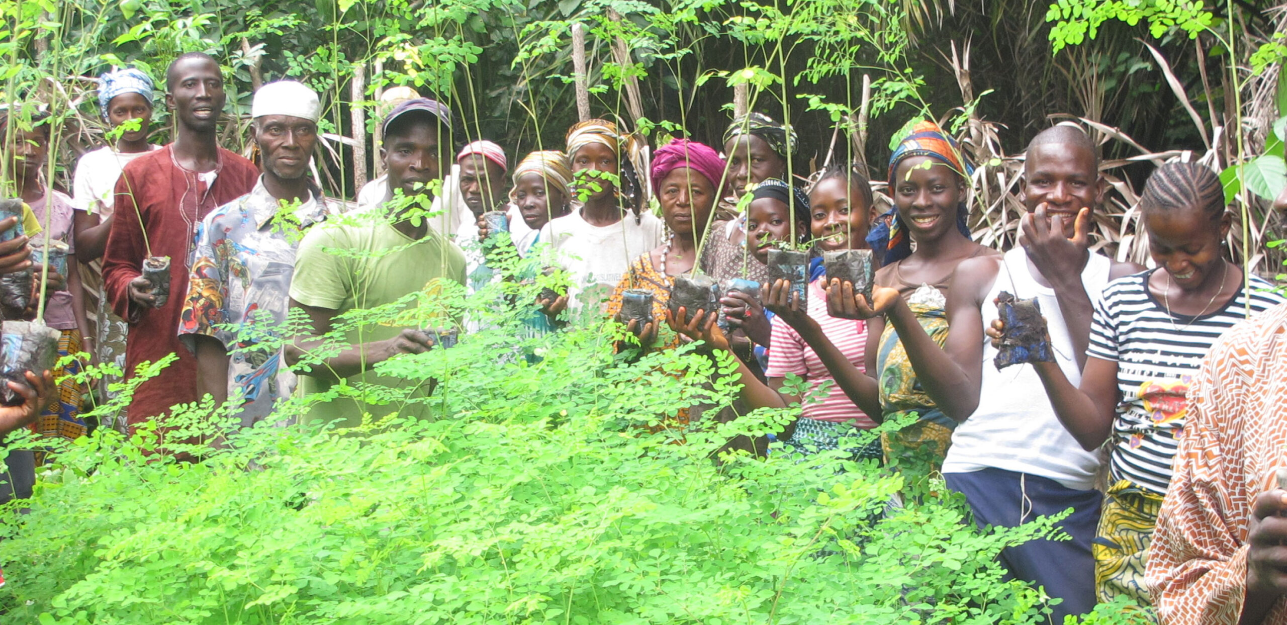 Livable Planet - Rising Impact